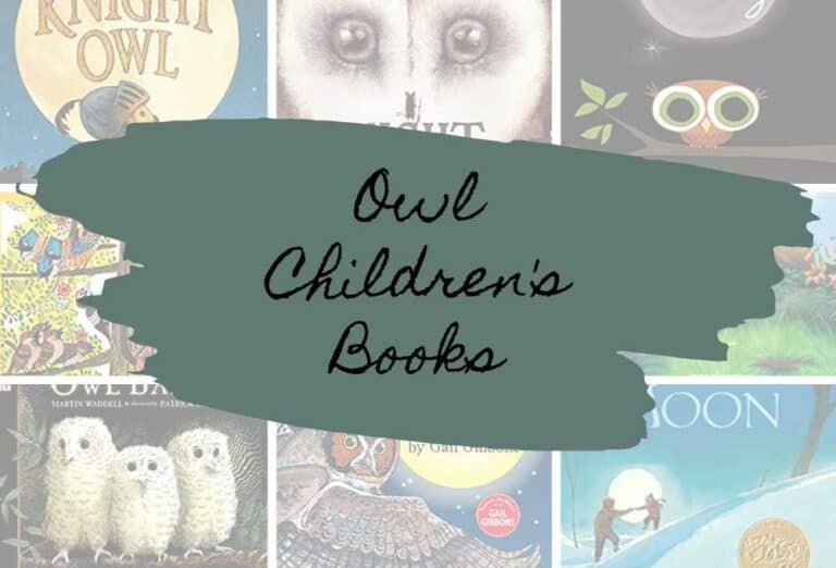 25+ Owl Children's Books That Are a Hoot! - Discover Childhood