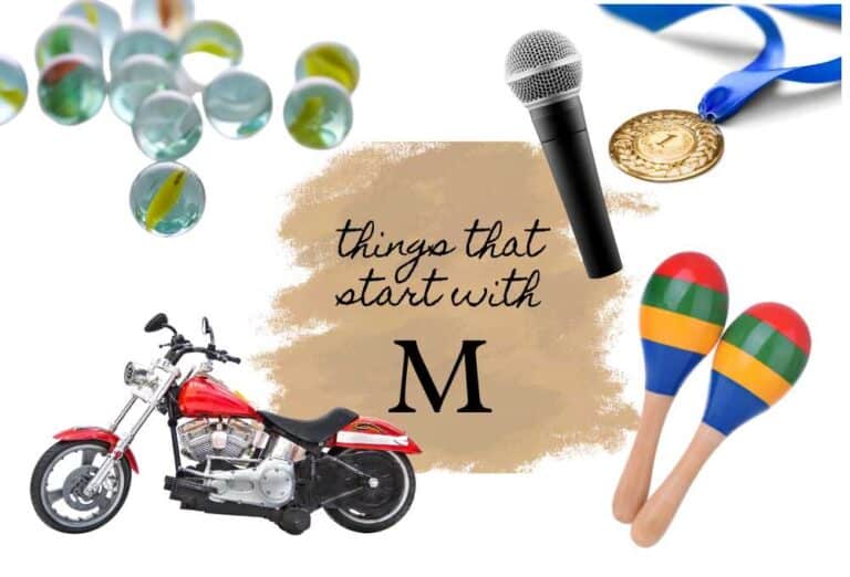 Show and Tell Letter M: 96 Marvelous Ideas - Discover Childhood