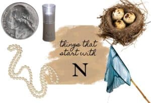 Show and Tell Letter N: The 60 Ideas You Need to Make It Easy ...