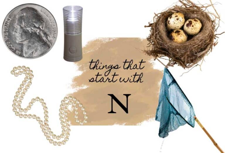 Show and Tell Letter N: The 60 Ideas You Need to Make It Easy ...