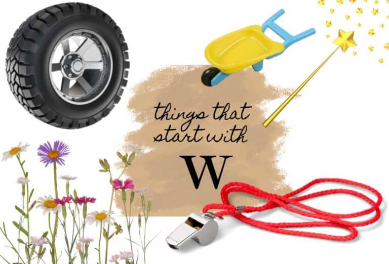 Show and Tell Letter W: 80+ Wonderful Ideas! - Discover Childhood