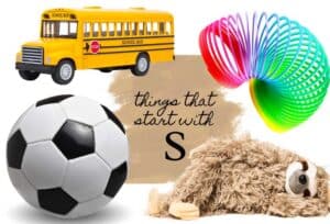 Show and Tell Letter S: 130+ Stupendous Ideas! - Discover Childhood